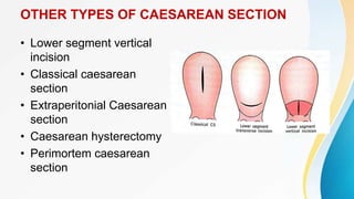 Presentation (2).pptx