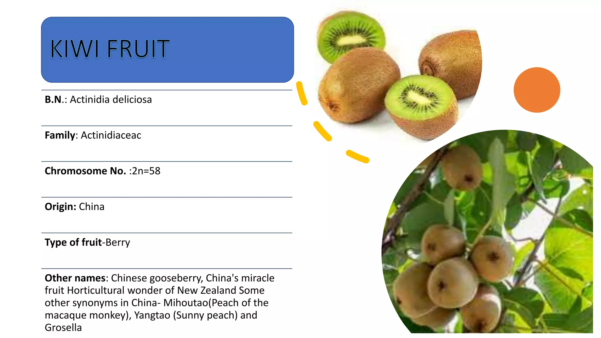 Production Technology of kiwi | PPTX