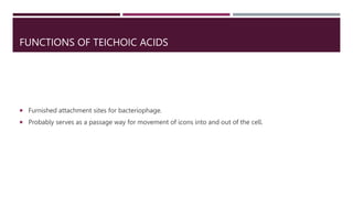 Cell Biomembrane | PPT