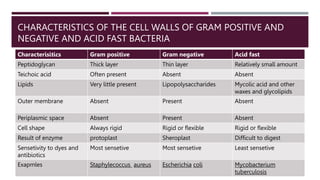 Cell Biomembrane | PPT