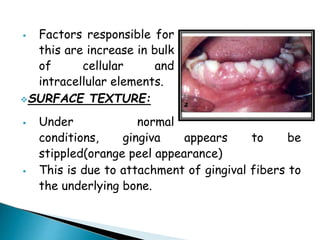 presentation 2.docx