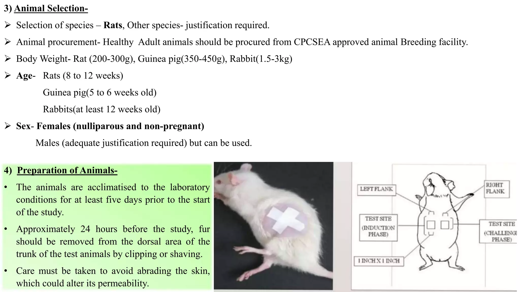 Acute Dermal Toxicity of synthesized polysaccharides according to OECD ...