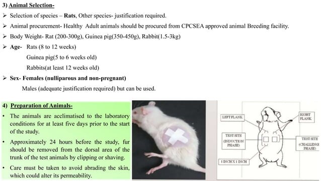 Acute Dermal Toxicity of synthesized polysaccharides according to OECD ...