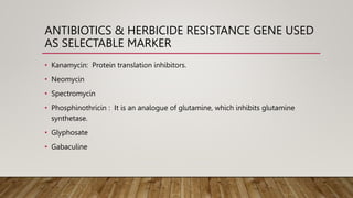 marker free methods | PPTX