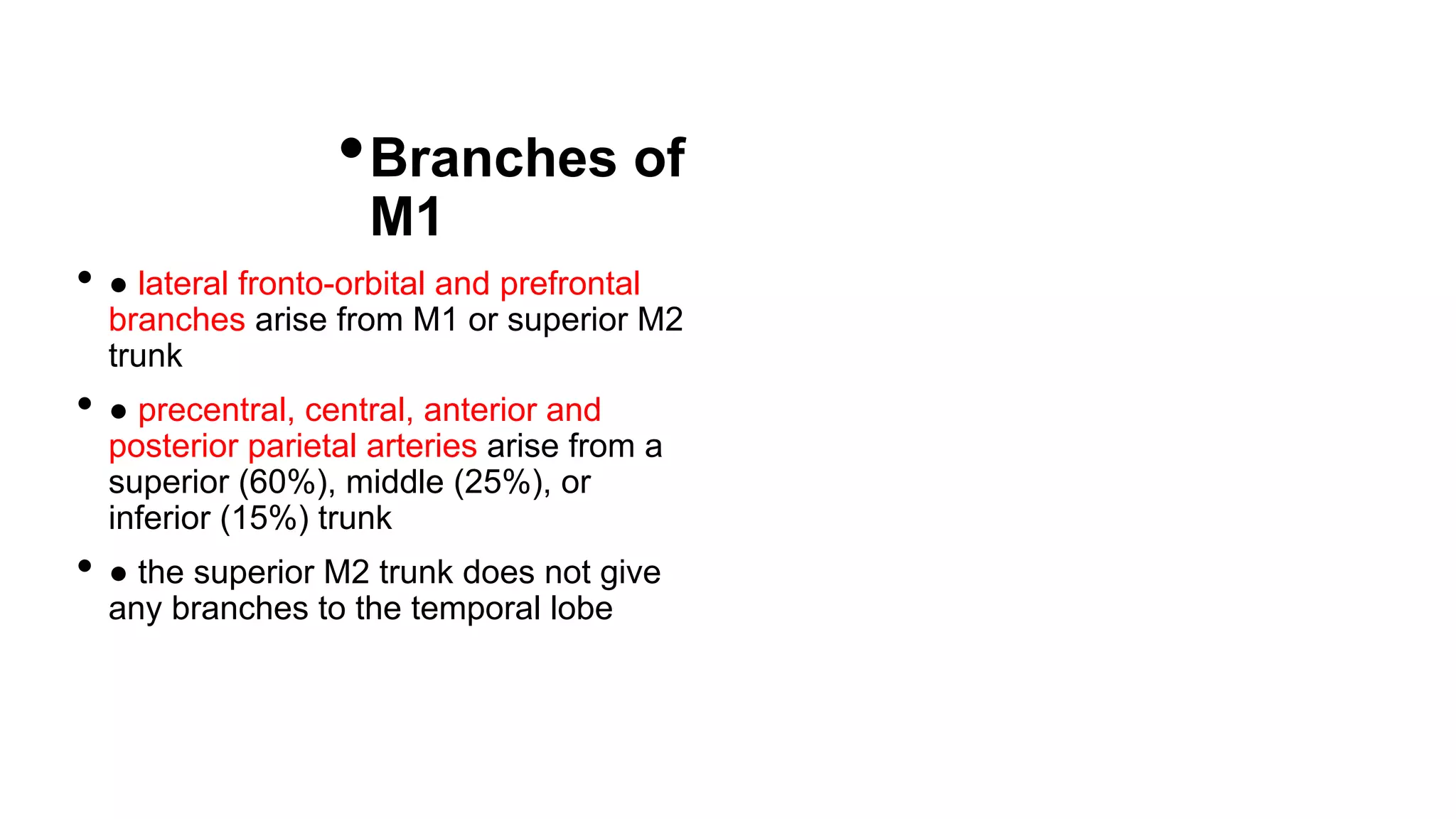 Blood supply of brain.pptx