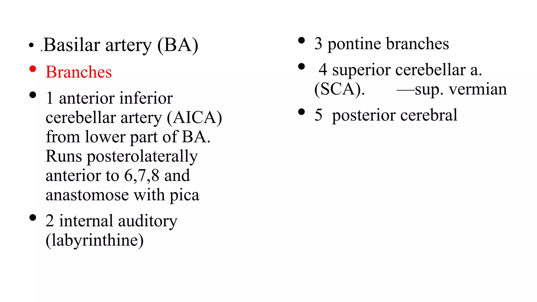 Blood supply of brain.pptx