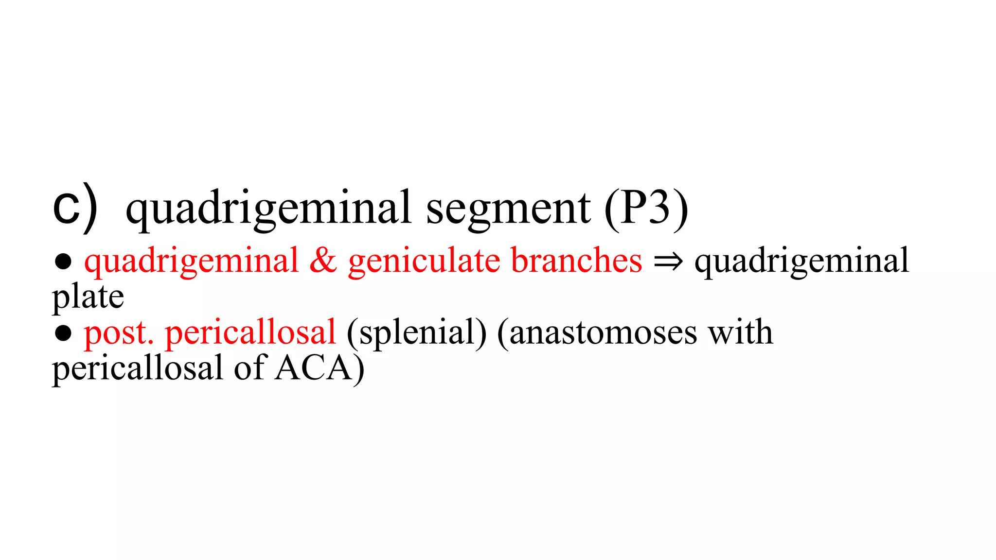 Blood supply of brain.pptx