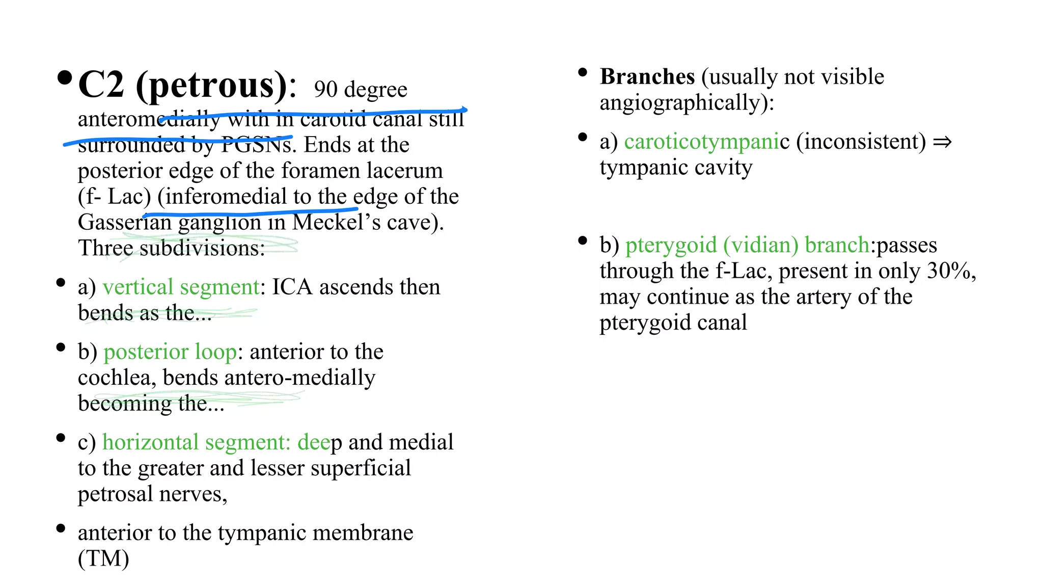 Blood supply of brain.pptx