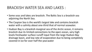 Presentation (2).pptx