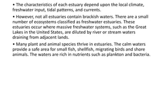 Presentation (2).pptx