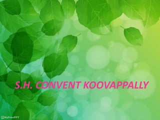 Presentation2.pptx | Computer Software and Applications | Computing