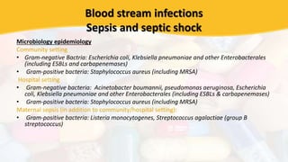 Antibiotics' protocols & pharmaceutical dosage forms conversions.pptx