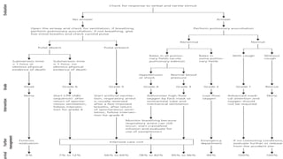emergency management of drowning | PPTX