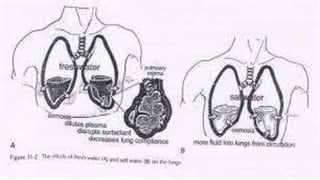 emergency management of drowning | PPTX