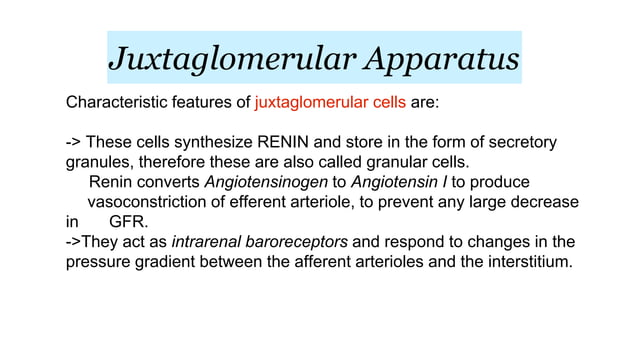 JG Apparatus | PPTX | Biological Sciences | Science