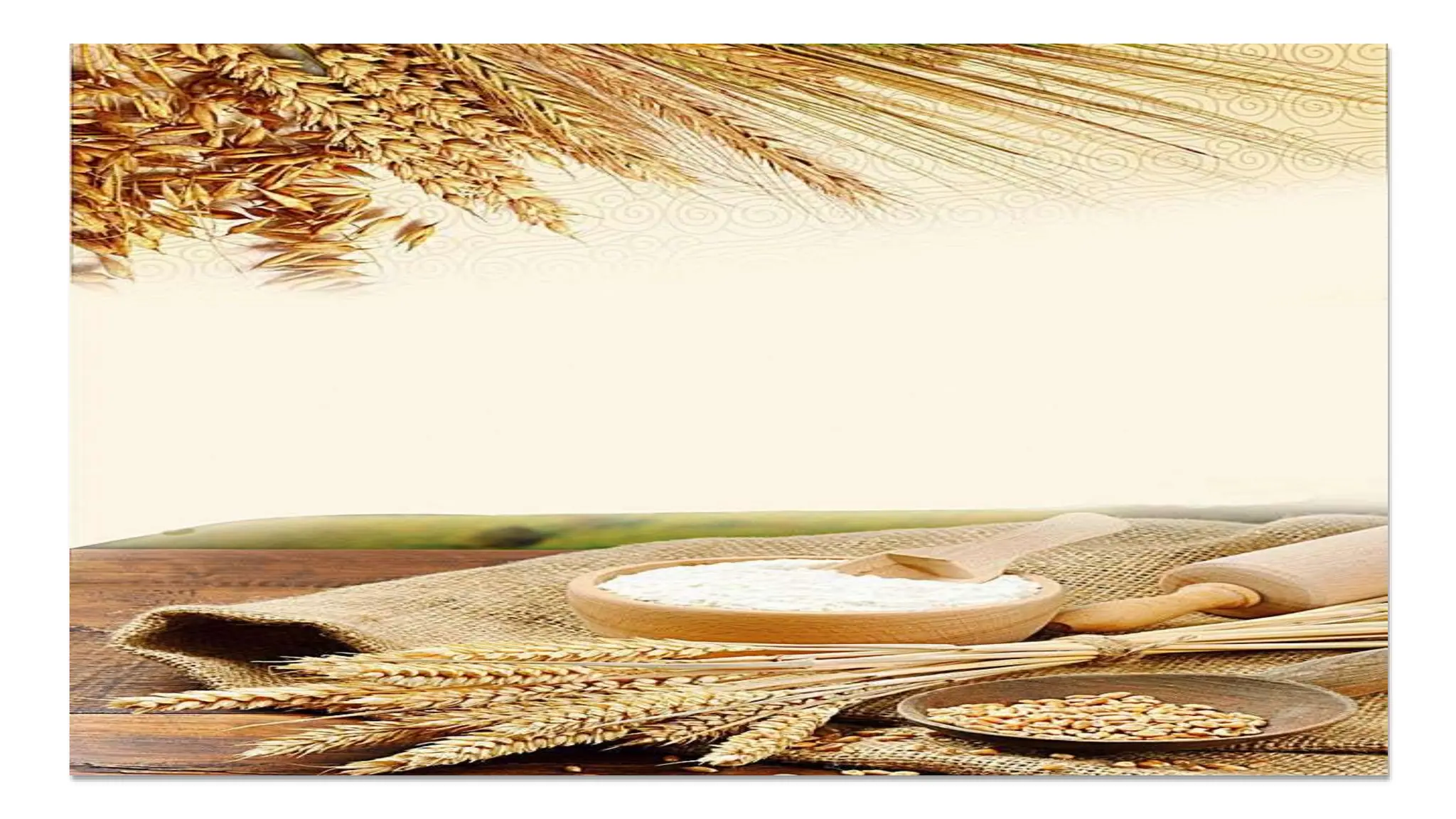 Science project file class 11 on millets in agriculture | PPT