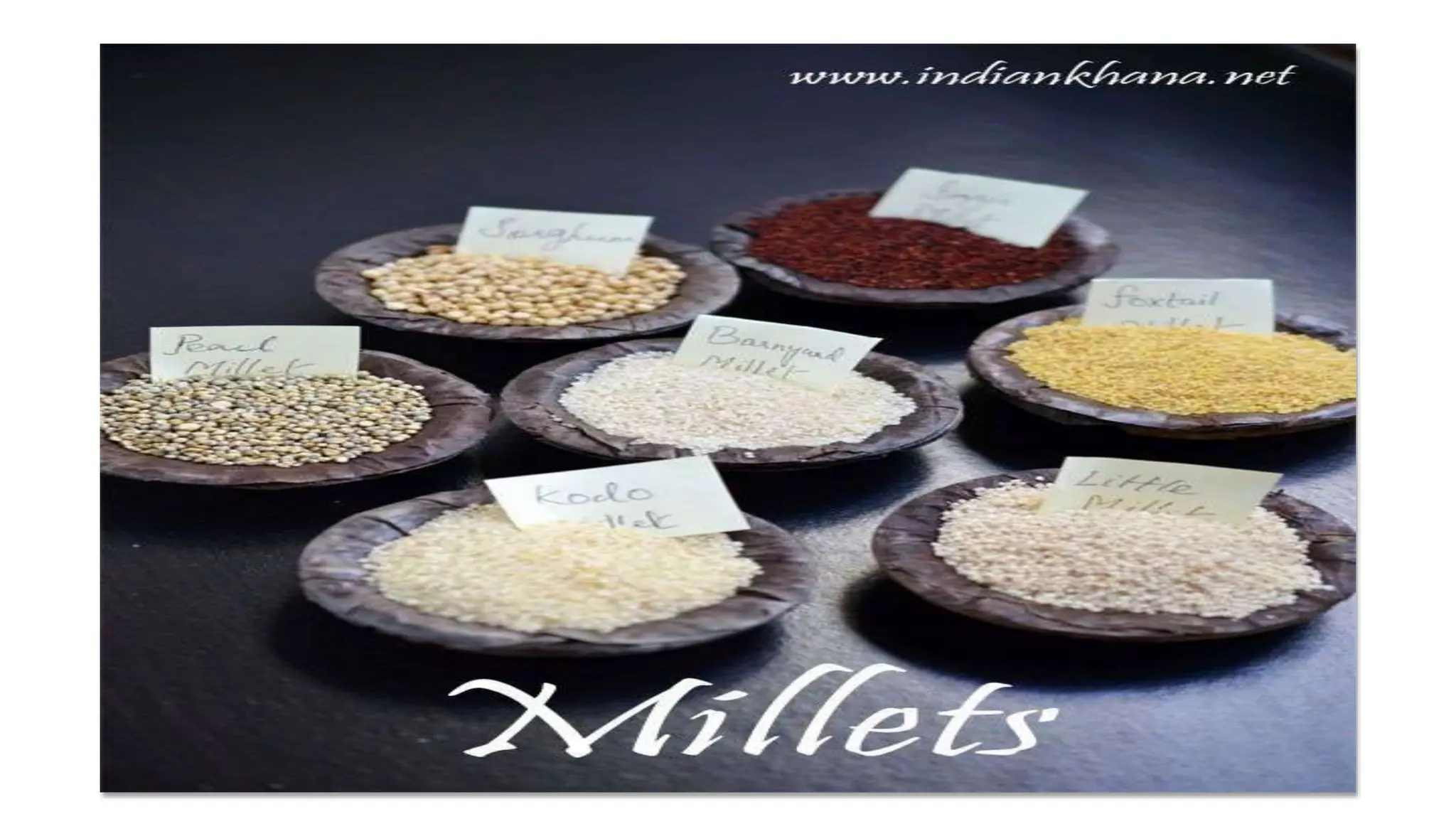 Science project file class 11 on millets in agriculture | PPT