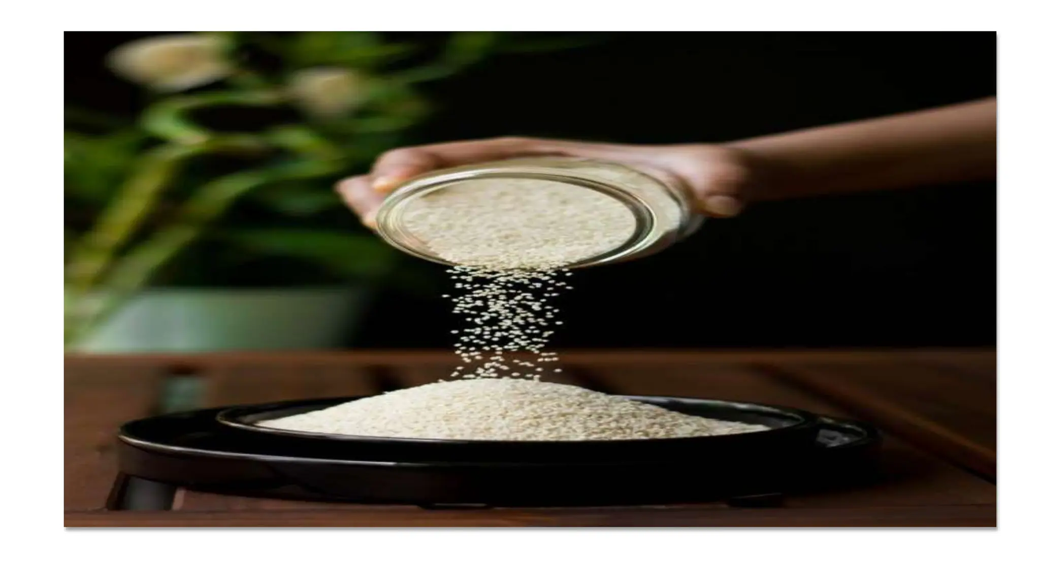 Science project file class 11 on millets in agriculture | PPT