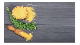 Science project file class 11 on millets in agriculture | PPT