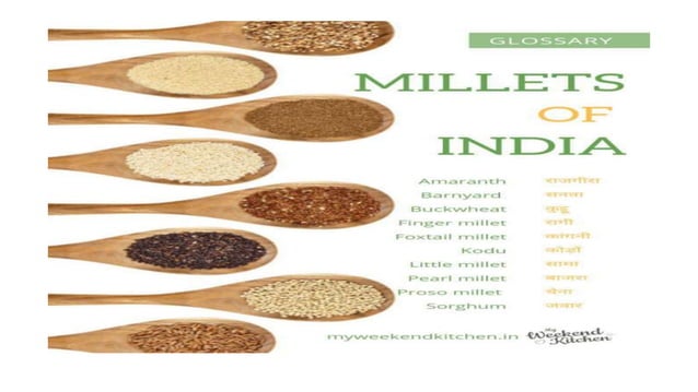 Science project file class 11 on millets in agriculture | PPT