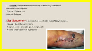Pathology Gangrene | PPTX | Blood Disorders | Diseases and Conditions