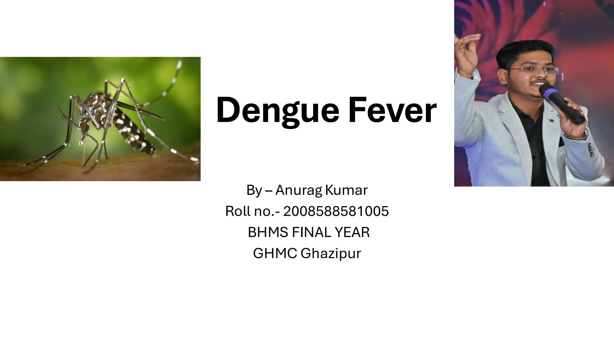 Dengue fever | PPT