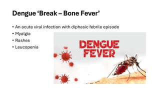 Dengue fever | PPT