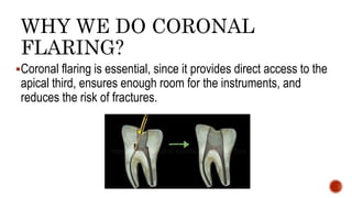 Presentation dental for all dental student to help their study | PPTX