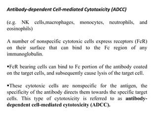 Presentation 2.pptxxxxxxxxxxxxrezghyyhggg | PPT
