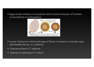 Presentation about intestinal taneasis microbiology | PPT