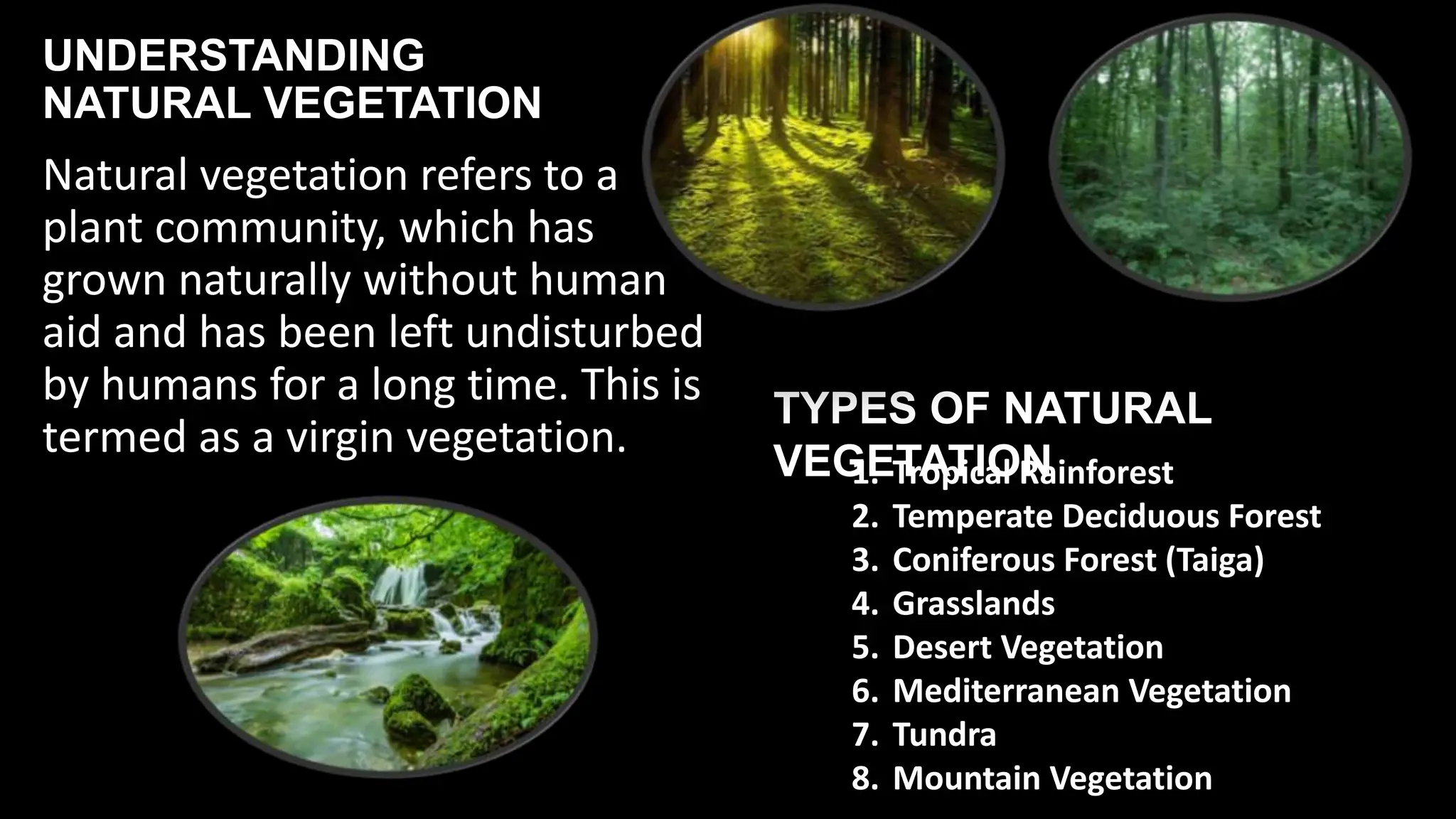 natural vegetation and wildlife shakalaka boom boom | PPTX