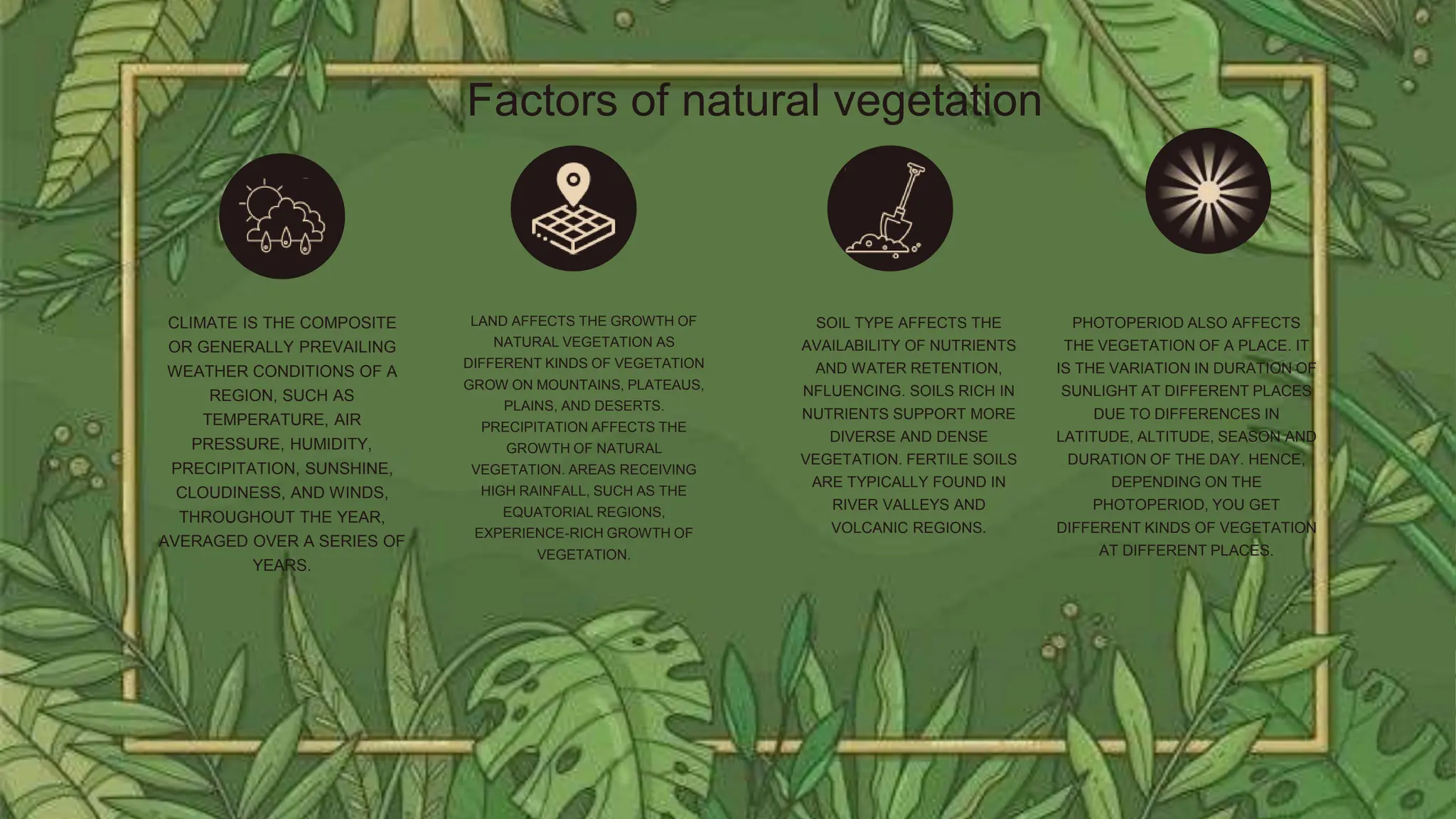 natural vegetation and wildlife shakalaka boom boom | PPTX