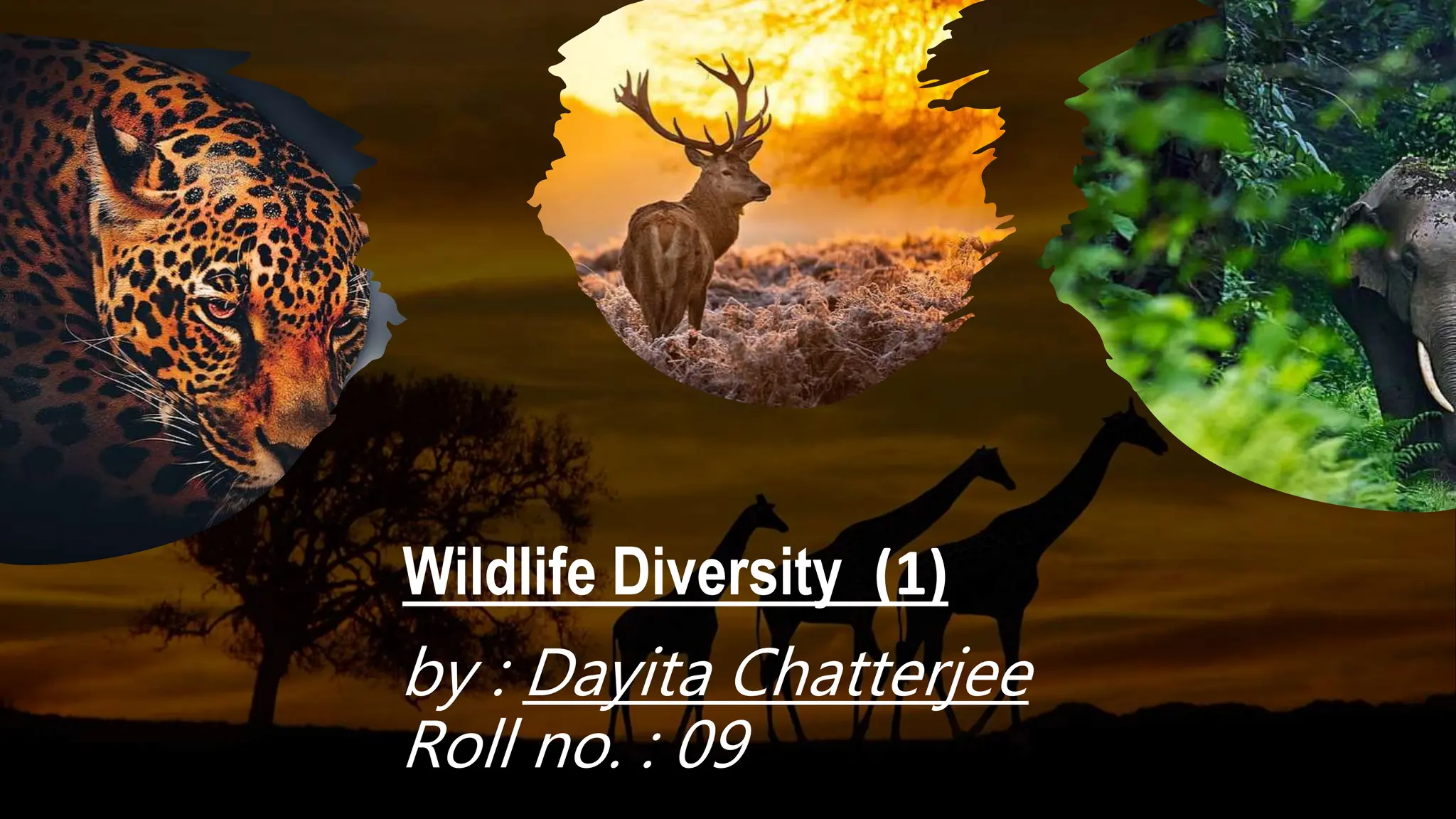 natural vegetation and wildlife shakalaka boom boom | PPTX