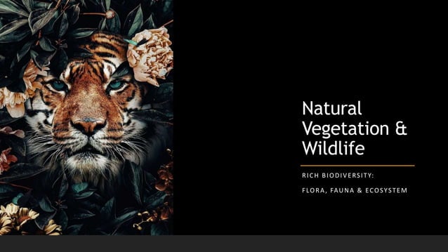 natural vegetation and wildlife shakalaka boom boom | PPT