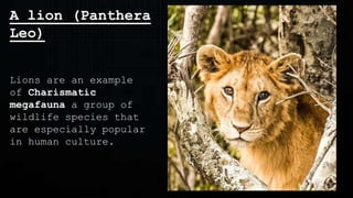 natural vegetation and wildlife shakalaka boom boom | PPT