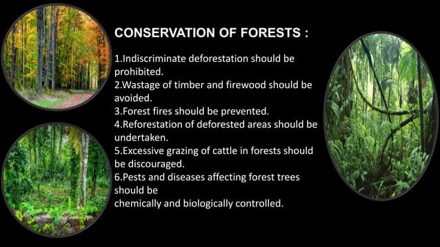 natural vegetation and wildlife shakalaka boom boom | PPT