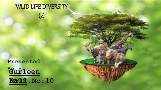natural vegetation and wildlife shakalaka boom boom | PPT