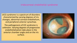 Corneal degeneration and corneal deposition | PPTX