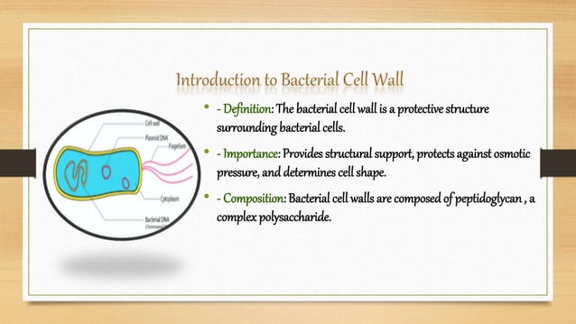 BACTERIAL CELL WALL, COMPOSITION AND TYPES.ppt
