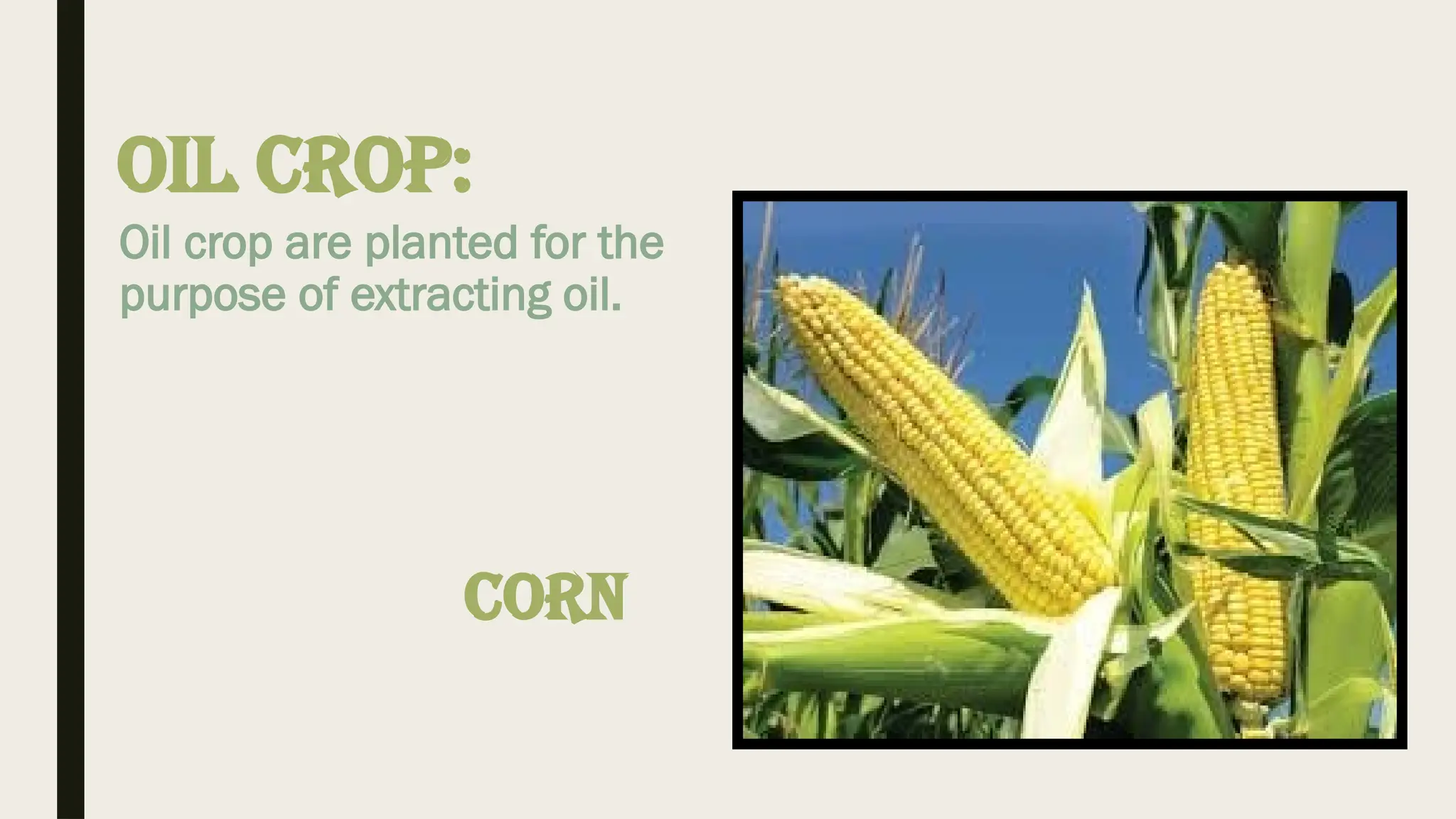 classification of agricultural crops in the phillipines | PPT