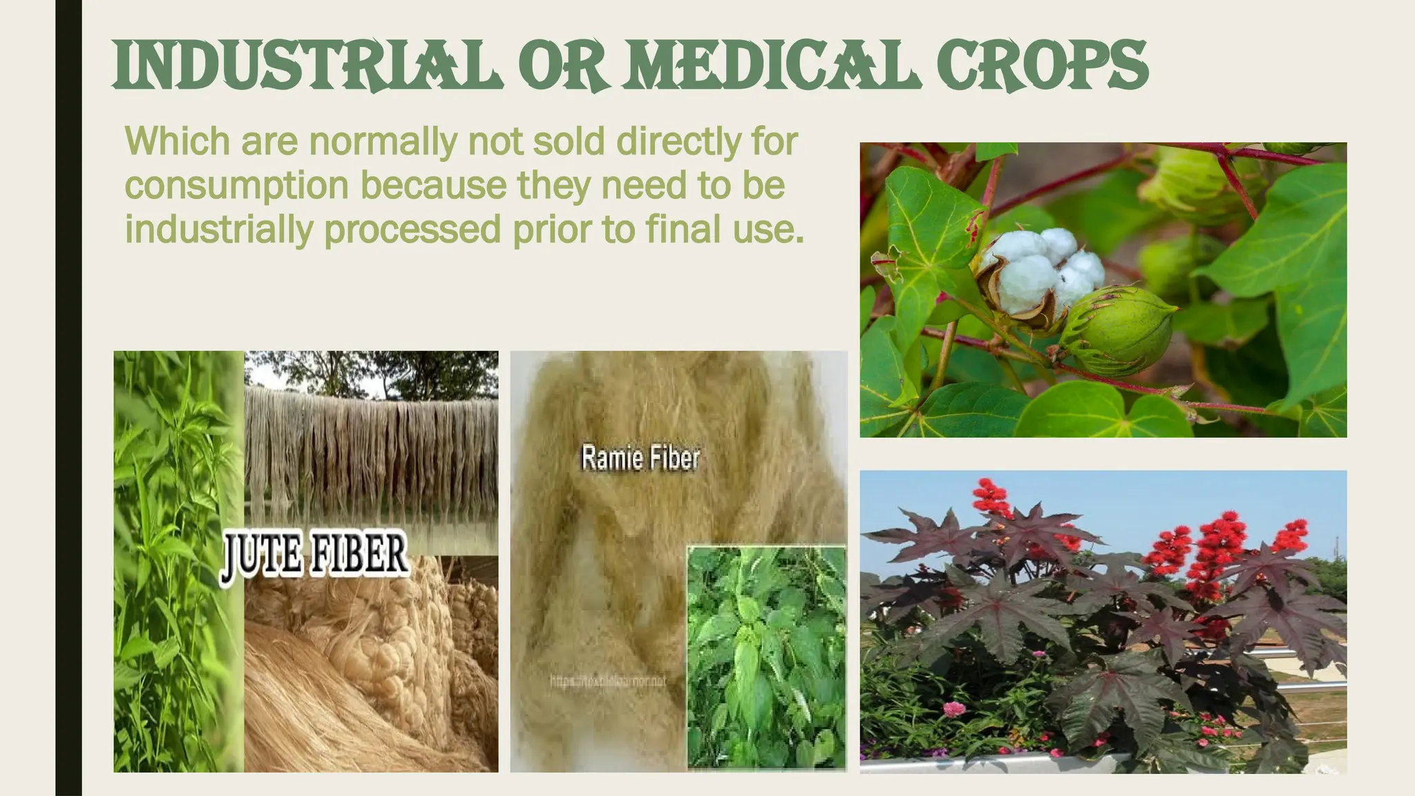 classification of agricultural crops in the phillipines | PPT