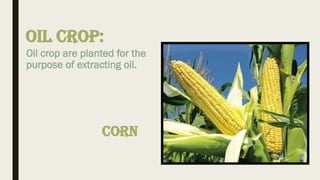 classification of agricultural crops in the phillipines | PPT