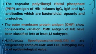Haemophilus influenza (Medical bacteriology) | PDF | Infectious ...