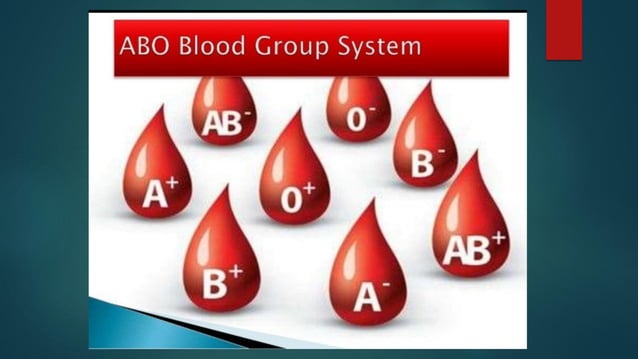 ABO blood grouping powerpoint presentation. | PPT