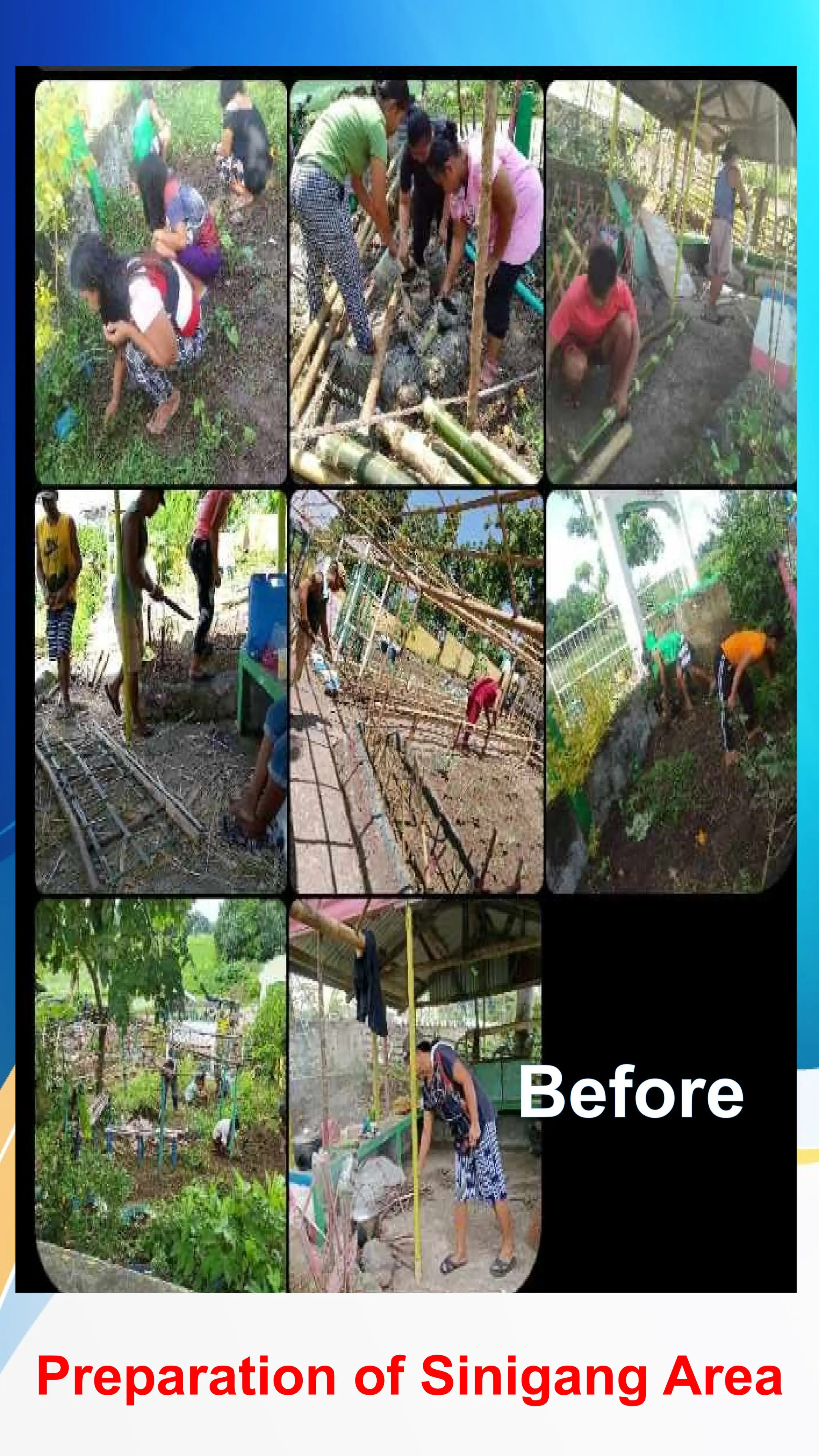 DIFFERENT PICTURES OF SCHOOL GARDEN AREA | PDF