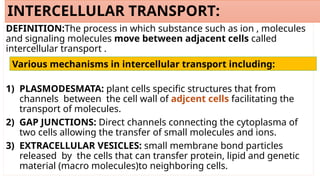 PPT: Molecular basis of intercellular and intracellular transport of ...