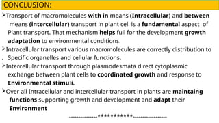 PPT: Molecular basis of intercellular and intracellular transport of ...