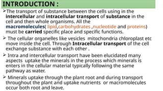 PPT: Molecular basis of intercellular and intracellular transport of ...