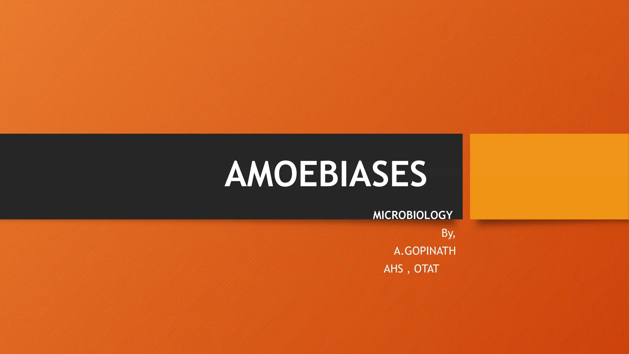Amoebiasis, explanation, symptoms, causes | PPTX