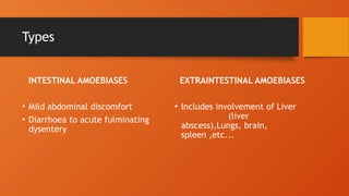 Amoebiasis, explanation, symptoms, causes | PPTX